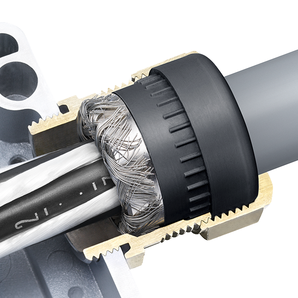 Pressacavi e accessori Pressacavi EMC con serraggio a compressione EMC ...